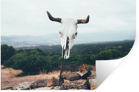 Muurstickers - Schedel - Koe - Berg - 90x60 cm - Plakfolie | bol.com
