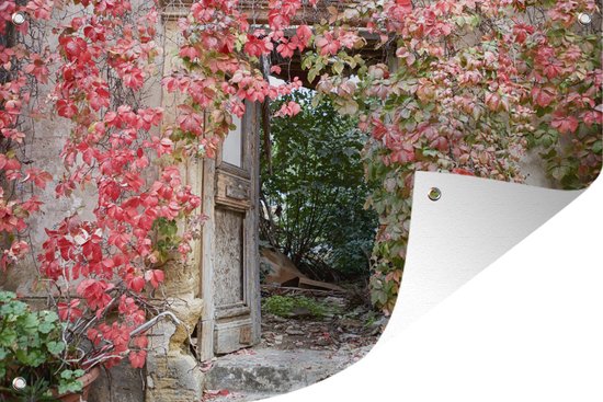 Tuinposter - Tuindoek - Tuinposters buiten - Verlaten gebouw in Nicosia ...