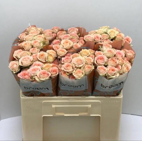 DutchFlowers - Boeket - 10x Rosa azore 50cm | bol