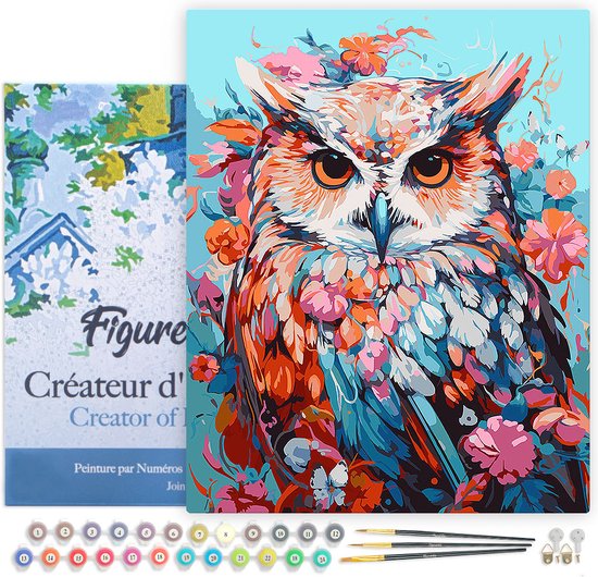 Figured'Art Schilderen op Nummer Volwassenen met lijst Kleurrijke Uil ...