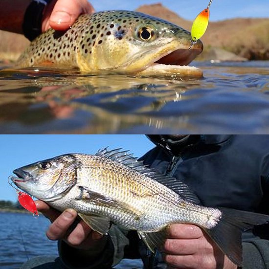 Forelset - 12 stuks Lepels 25g 3cm | Enkele Haken Forellepel, Forel ...