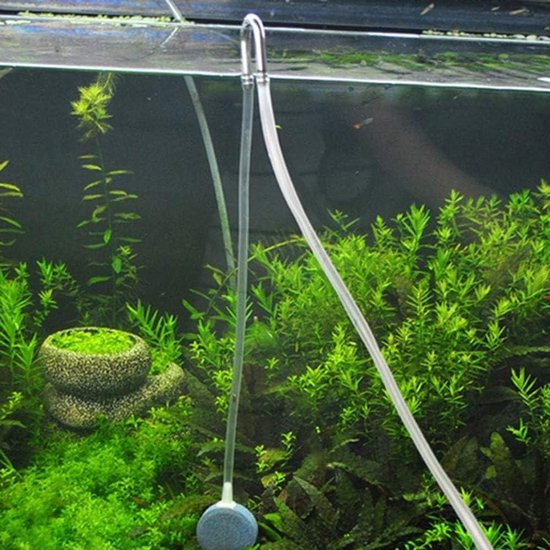 RVS U-vormige buis voor aquarium CO2-systeem met ...