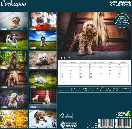 Cockapoo Kalender 2025 Deluxe | bol