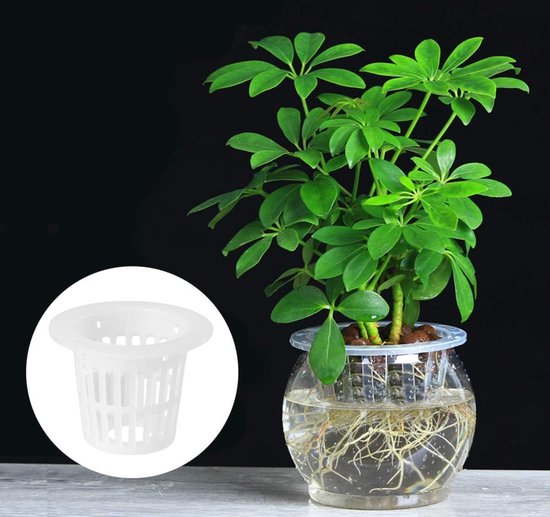 Hydrocultuur potten - Groente planten - Orchideeën kweken - Bodemloze ...