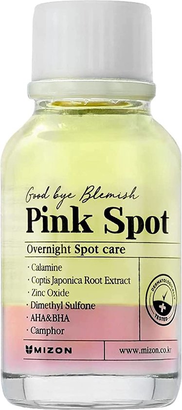 Pink Spot Good Bye Blemish Overnight Spot Care 19ml | bol