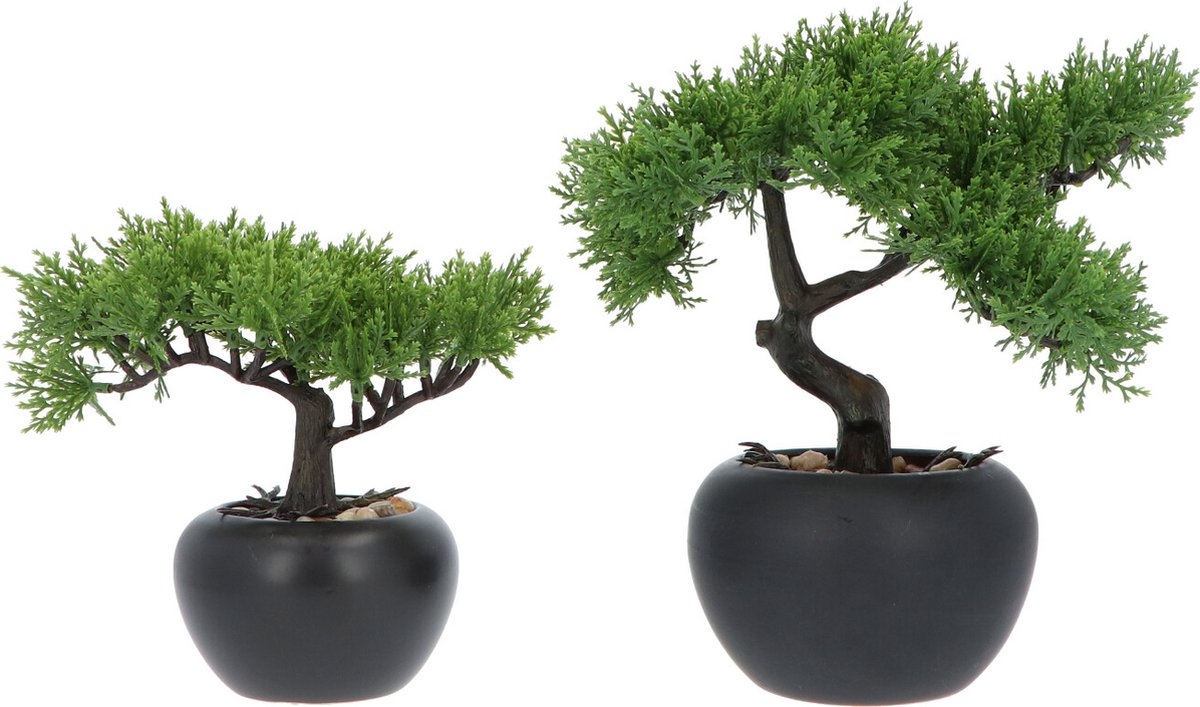 Kopu® 2 stuks Kunstplant Bonsai boompje Ceder 19 en 25 cm met Pot | bol.com