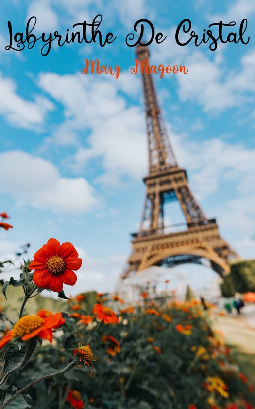 Labyrinthe De Cristal (ebook), Mary Magoon | 1230005971220 | Boeken ...
