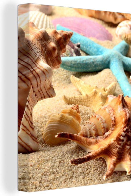 Canvas - Canvasdoek - Strand - Zee - Zeesterren - Schelpen - Wanddecoratie - Canvas... | bol