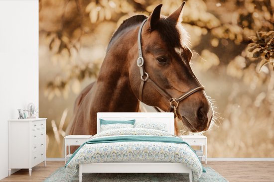 Behang kinderkamer - Fotobehang Paard - Zon - Portret - Natuur - Bruin ...