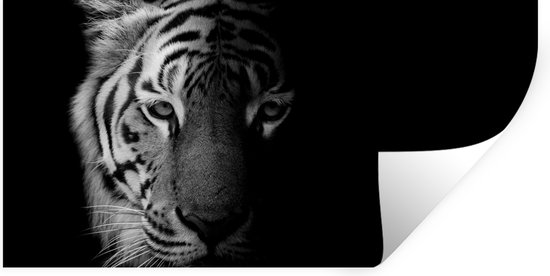 Muurstickers - Sticker Folie - Tijger - Dieren - Wild - Zwart - Wit - 120x60 cm -... | bol