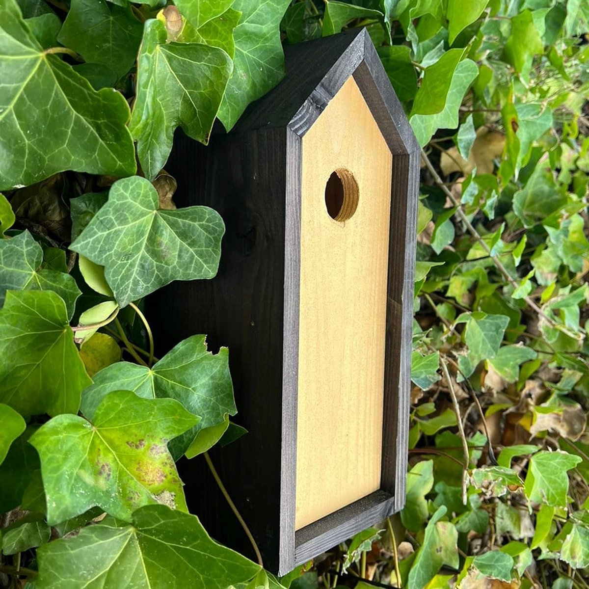 Foldable Banana Hook Under Cabinet Primrue 83'' Faux Banana Leaf Tree ...