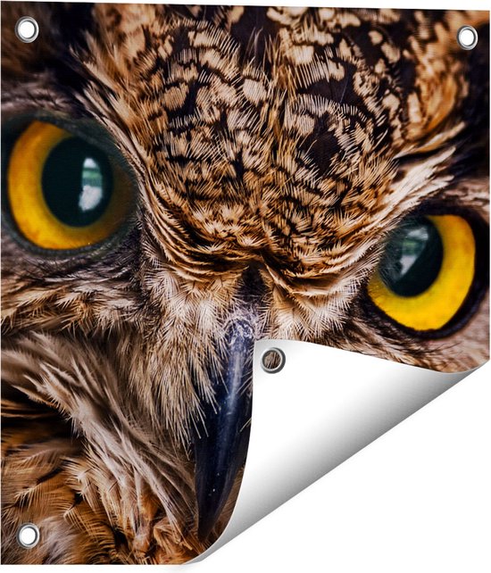 Gards Tuinposter Uilenkop met Gele Ogen - Uil - 40x40 cm - Tuindoek ...