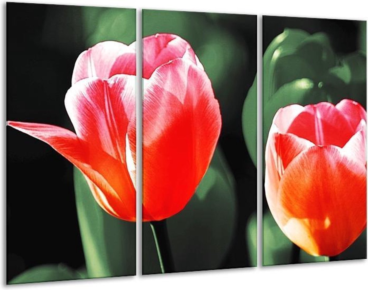 GroepArt - Schilderij - Tulp - Rood, Groen, Wit - 120x80cm 3Luik - 6000 ...