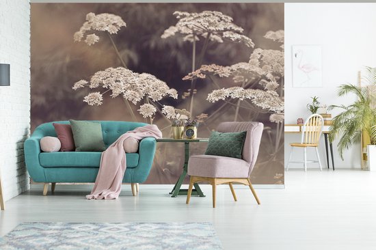 Plant - Wit - Natuur - Bloemen - Behangpapier | bol