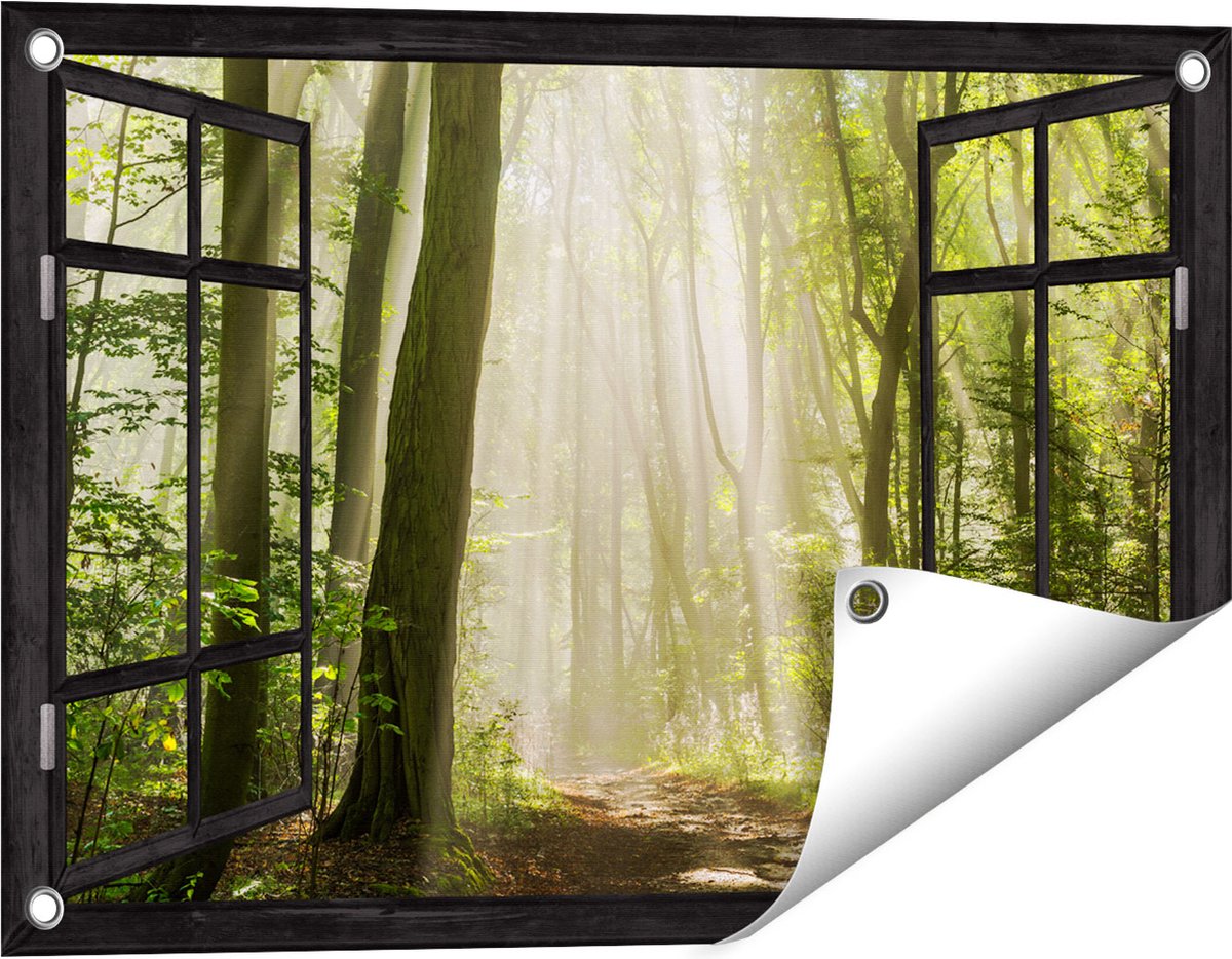 Gards Affiche de jardin Forêt transparente avec Arbres et soleil ...