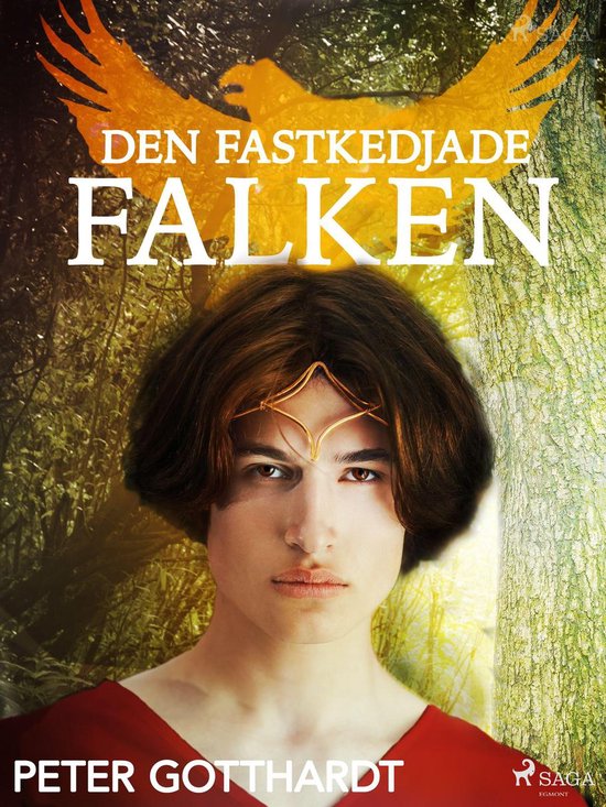 Den magiska falken 2 - Den magiska falken 2: Den fastkedjade falken ...