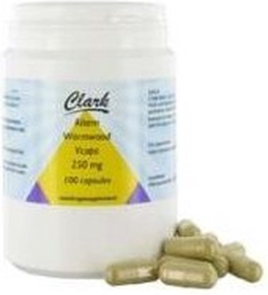 Holisan Alsem Wormwood Vegetarische Capsules - 100 capsules | bol