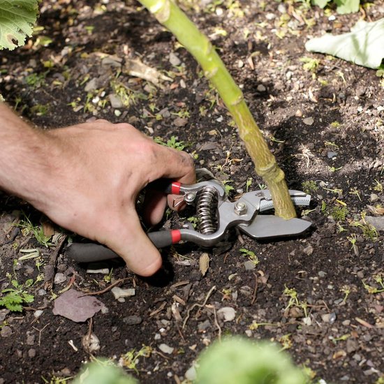 Traditional Bypass Anvil Garden Scissor Set - 8 piece cutting set | bol