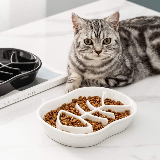 Slow Feeder Ceramic Dog Bowl | Healthy Eating Diet Pet Bowl ...