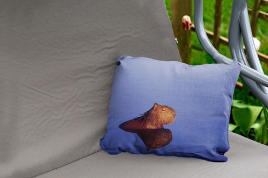 Sierkussen Capibara voor buiten - Een Capibara rust in het water met ...