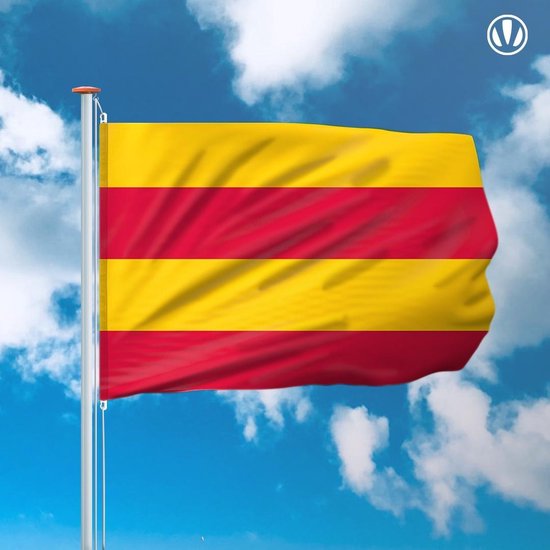 Vlag Heemstede 150x225cm | bol