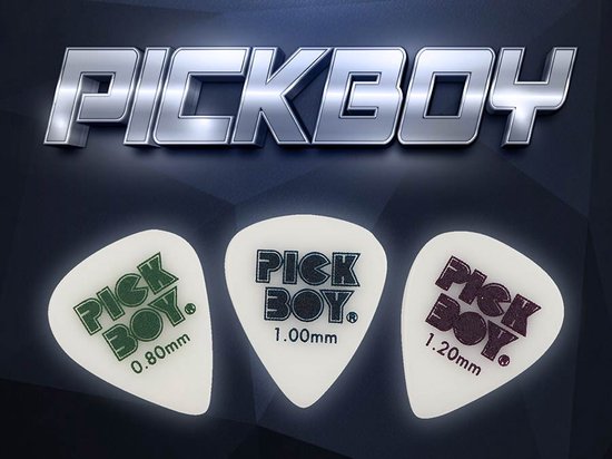 Pickboy GPSGWR120/S PolyAcetal picks met klassiek '70s Pickboy logo, 12 ...