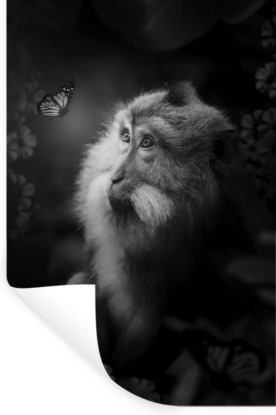 Muurstickers - Sticker Folie - Portret van een aap en een vlinder in de jungle - zwart... | bol