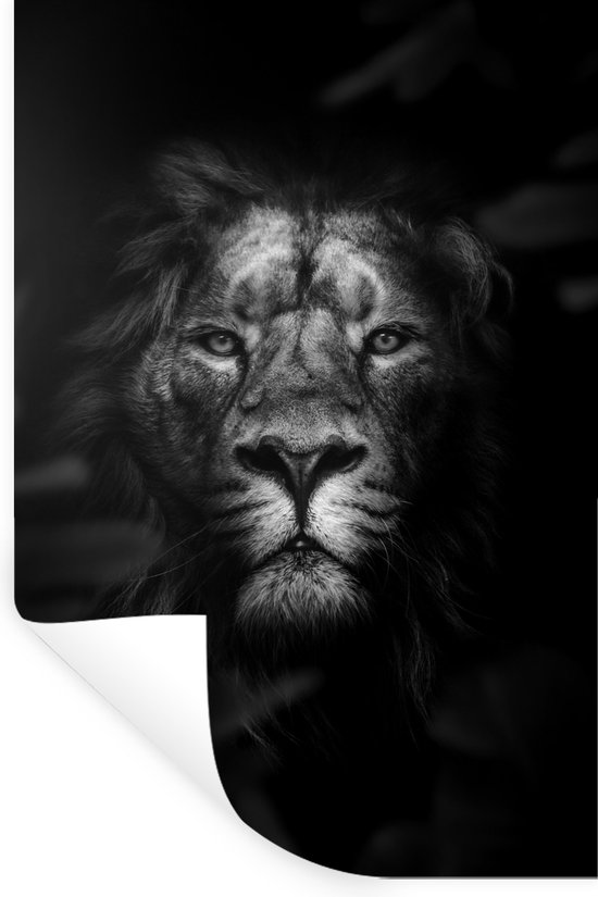 Muurstickers - Sticker Folie - Portret van een leeuw in de jungle - zwart wit - 80x120... | bol