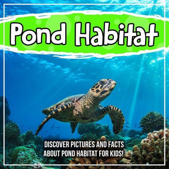 Ocean Habitat: Discover Pictures and Facts About Ocean Habitat For Kids ...