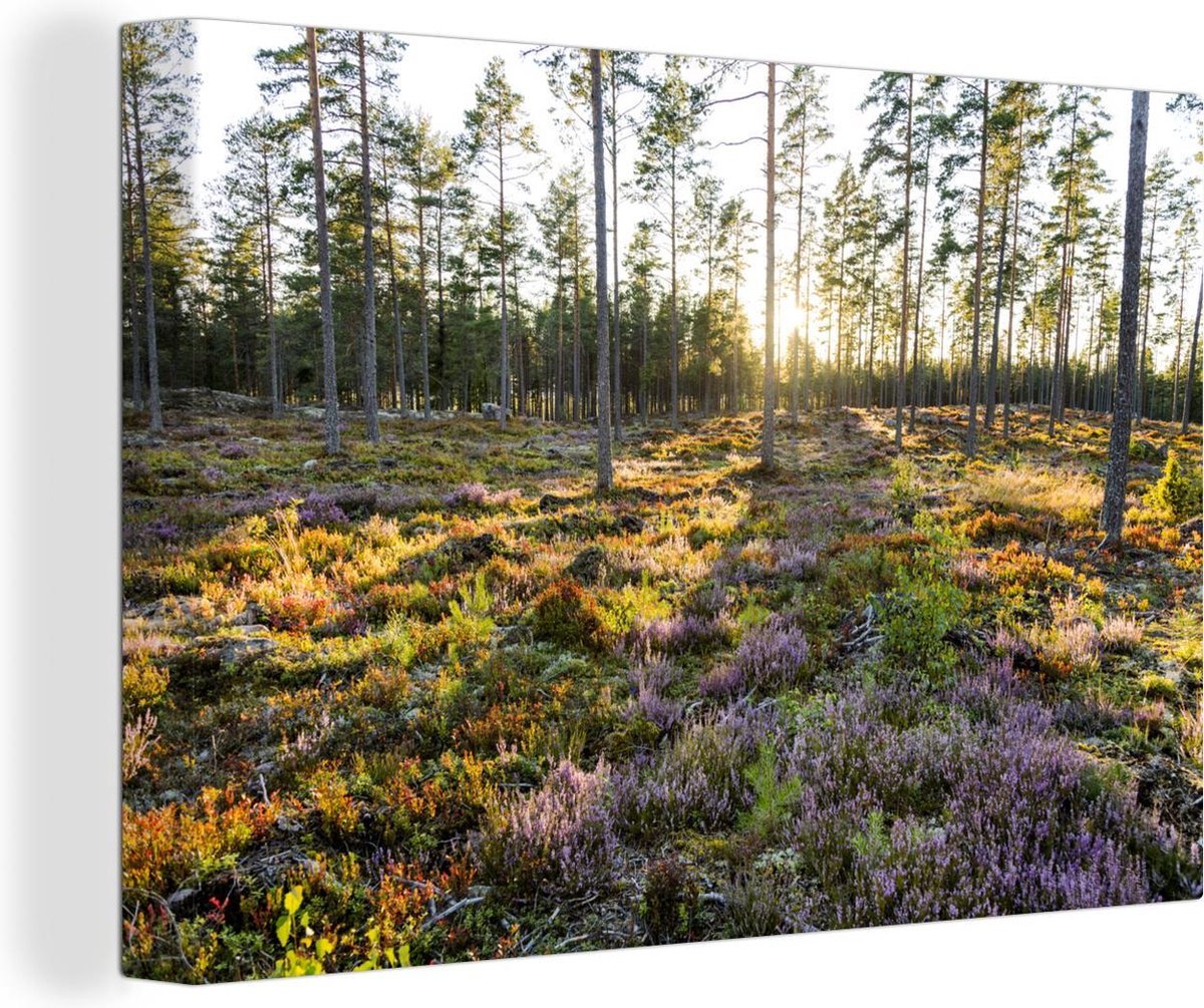 Canvas Schilderij Bomen op een heideachtig landschap - 60x40 cm - Wanddecoratie | bol.com