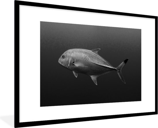Grote vis onder water - zwart wit | bol.com