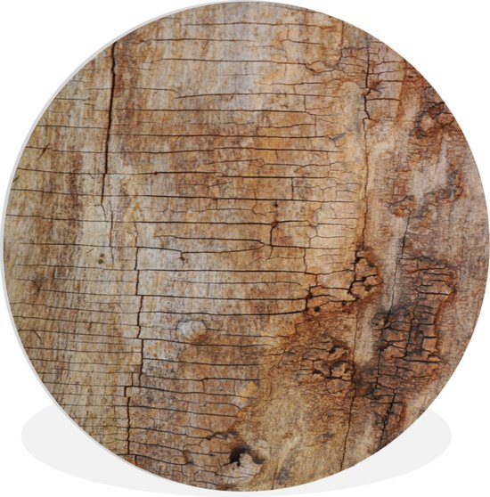 WallCircle - Wandcirkel ⌀ 30 - Boomschors - Boomstam - Hout - Ronde ...