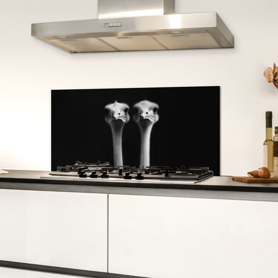 Spatscherm keuken 70x30 cm - Kookplaat achterwand Struisvogels - Halzen ...