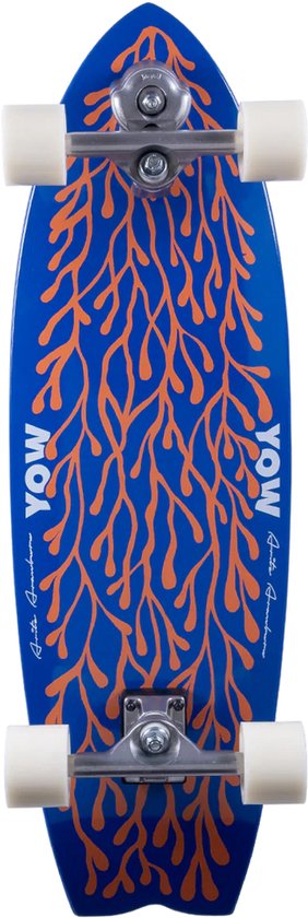 Yow Aritz Aranburu Signature Surfskate 32.5 2025 | bol