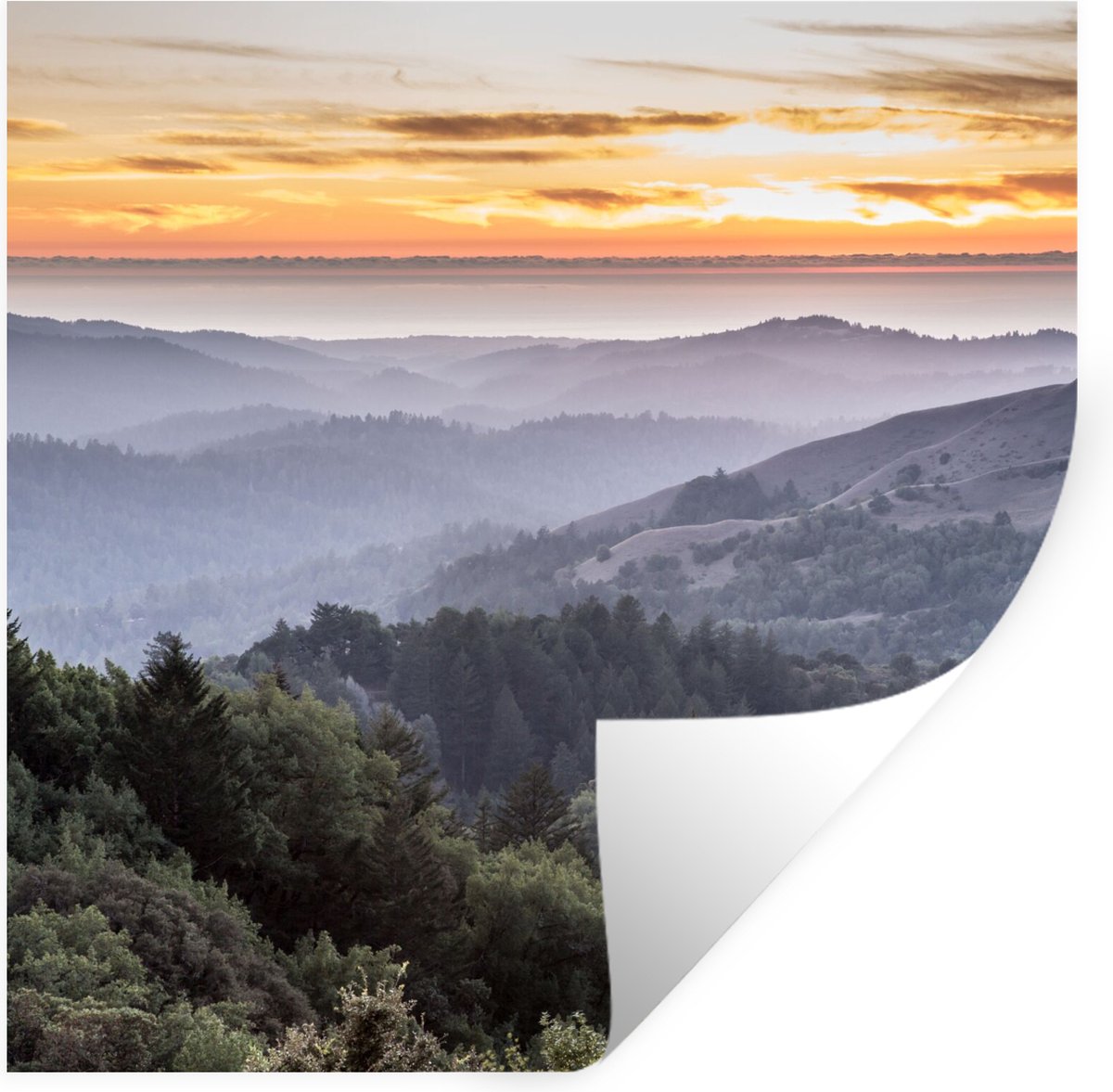 Stickers muraux - Montagnes - Soleil - Forêt - Paysage - 50x50 cm ...