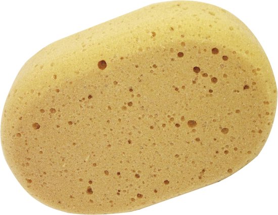 Aqualine ovalen spons ft 20 x 14 x 7 cm 16 stuks | bol