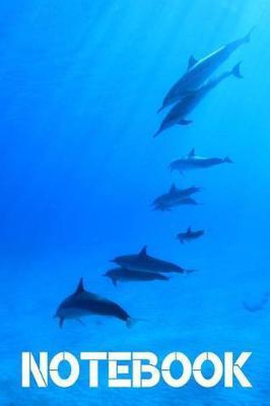 Dolphin Notebook, Yvette Paul | 9781090691842 | Boeken | bol.com