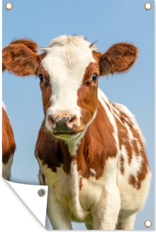 Décoration de jardin Vaches - Ciel - Animaux - Ferme - Portrait - 40x60 ...