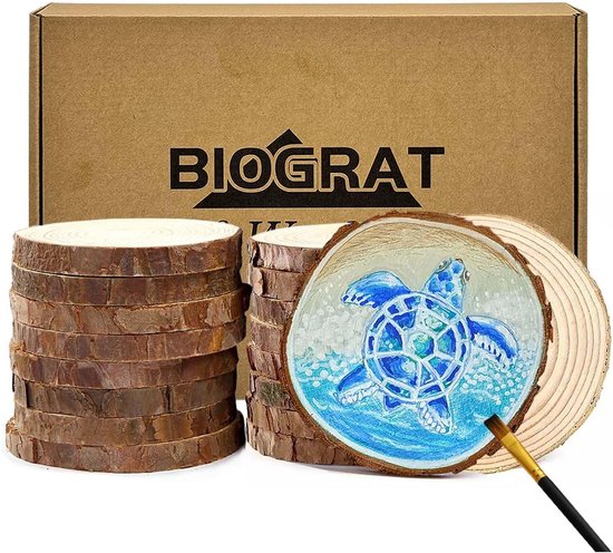 16 Houten Schijven Rond 10cm - Natuurlijke Houtschijfjes met Schors ...