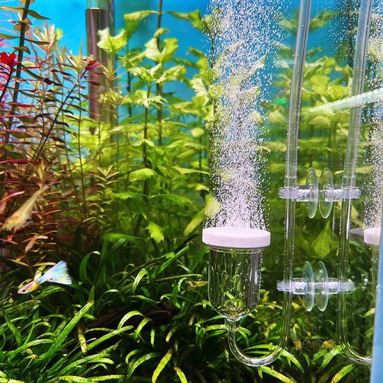 Allecta - Aquarium Zuignap Clips voor Luchtbuis - Transparante ...