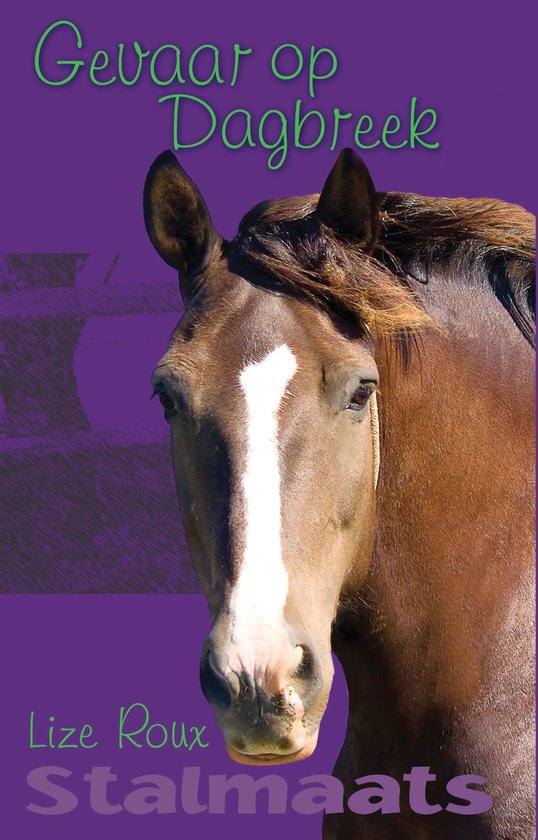 Stalmaats 10 (ebook), Lize Roux | 9780799355772 | Boeken | bol.com