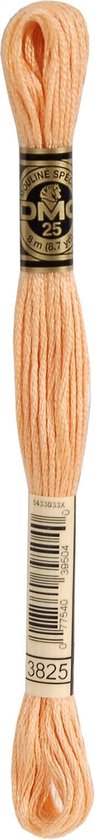 DMC Borduurgaren-3825 Zalm/Oranje | bol.com