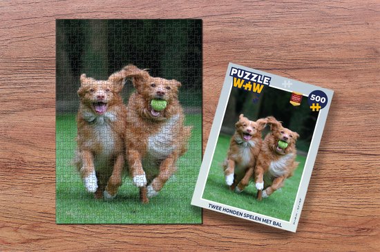 Puzzel Twee honden spelen met bal - Legpuzzel - Puzzel 500 stukjes | bol