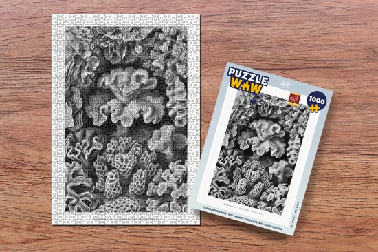 Puzzel Kunst - Koraal - Ernst Haeckel - Oude meesters - Natuur ...