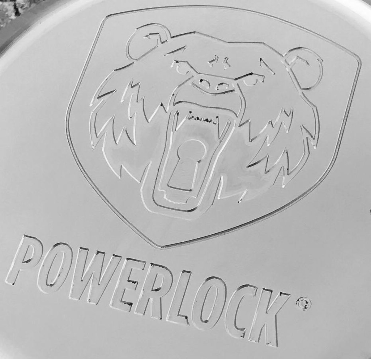 PowerLock CTL-500 CONTAINERSLOT TSR – 2fiXX | translock | bol.com