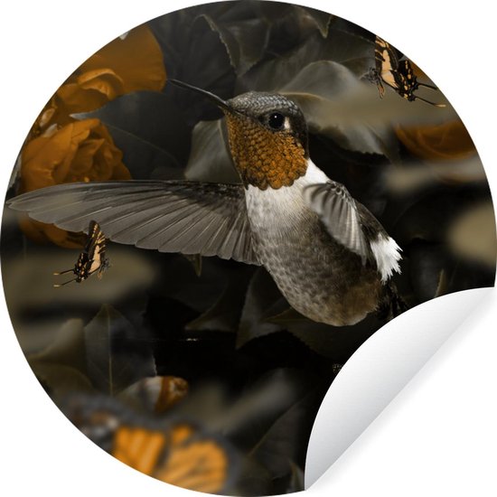 WallCircle - Muurstickers - Behangcirkel - Kolibrie - Bos - Vlinders - ⌀ 30 cm -... | bol