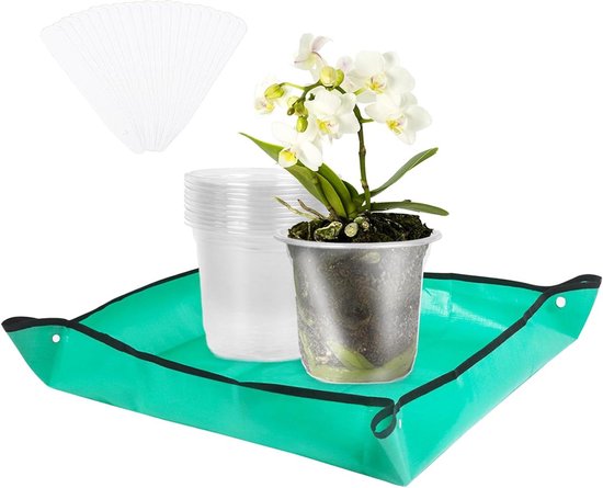 10 Transparent Grow Pots 11 cm with Potting Mat - Orchid Pots Plant ...