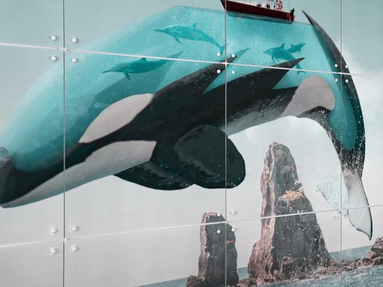 IXXI Aqua Orca, Julien Tabet - 120 x 120 cm - Gratis ophangtool - Grote Wanddecoratie... | bol