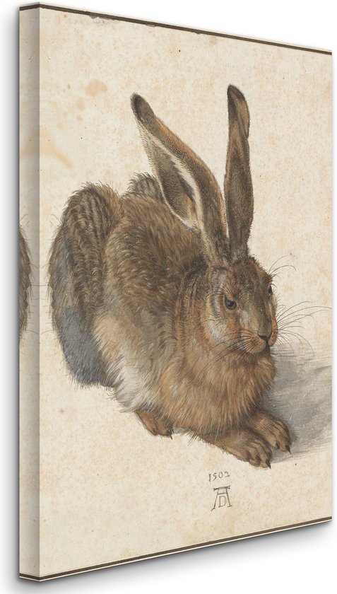Albrecht Dürer - Young Hare, Jonge haas (1502) - 3:2 | bol