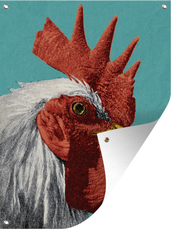 Une illustration d'un coq exposé dans un poster de jardin pop art 60x80 ...